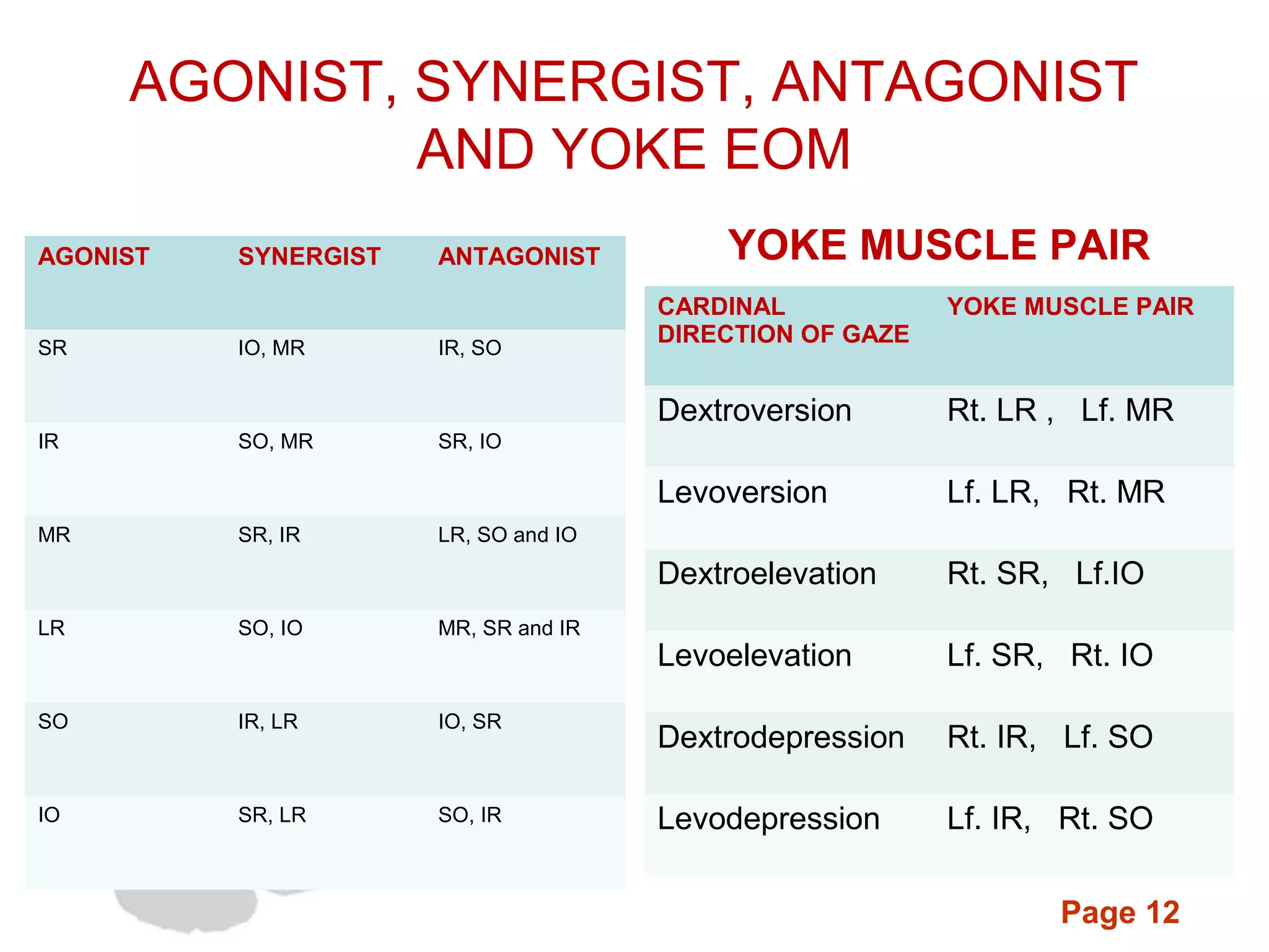 Extraocular muscles | PPT