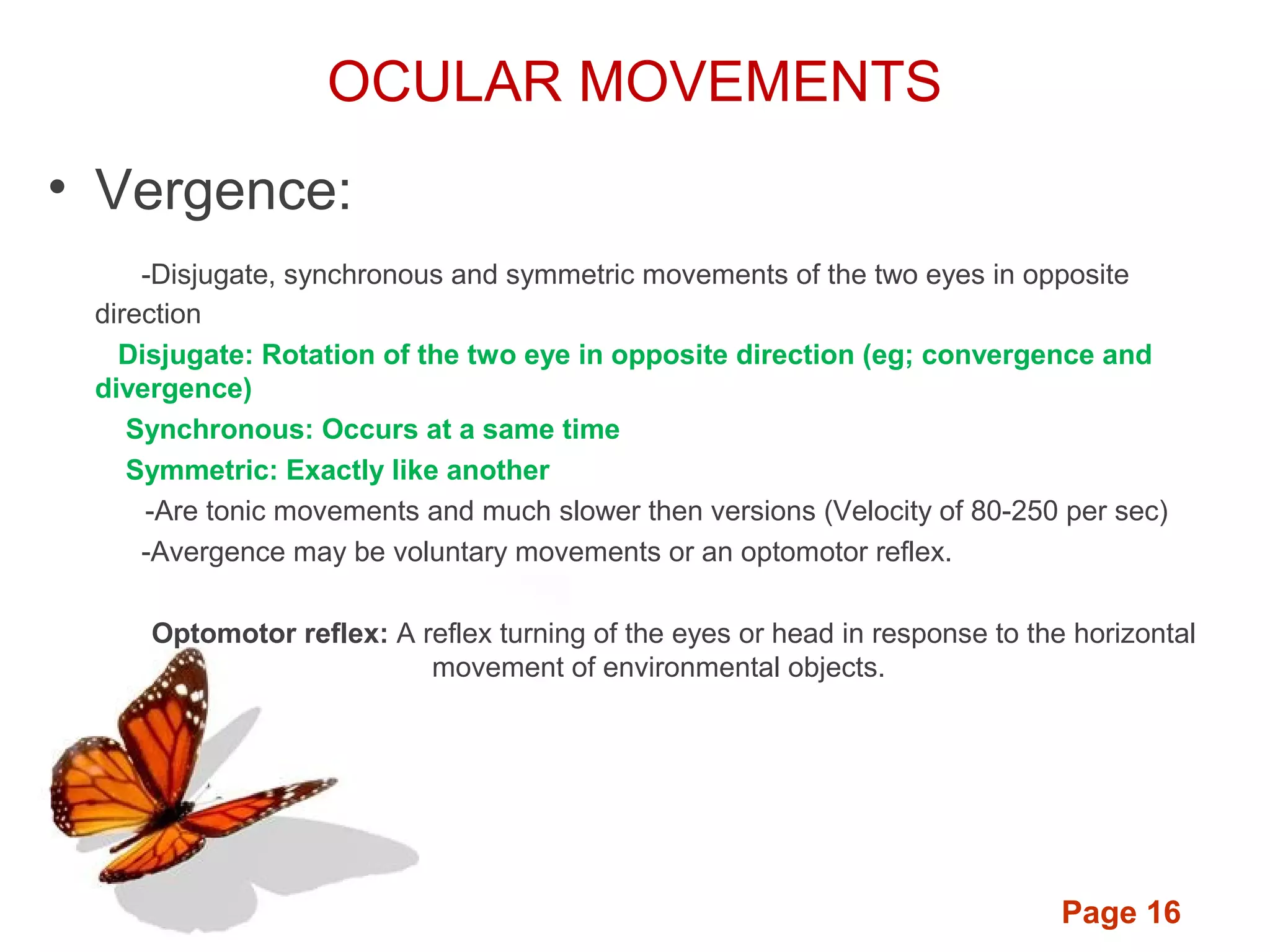 Extraocular muscles | PPT
