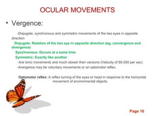 Extraocular muscles | PPT