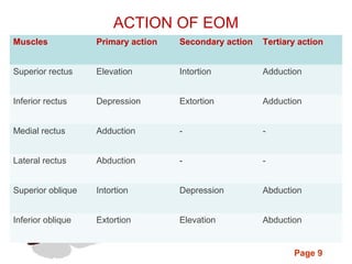 Extraocular muscles | PPT