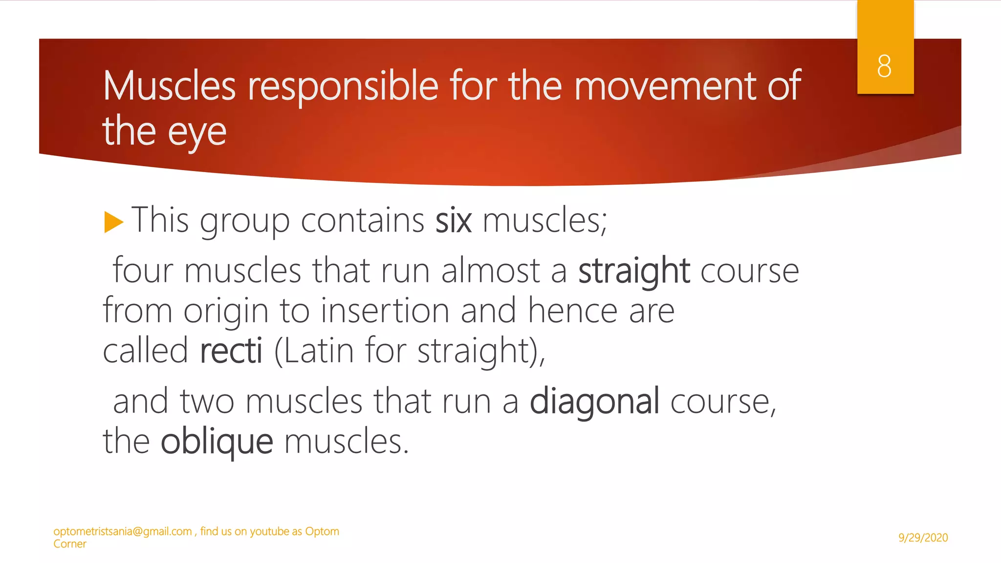 Extra ocular muscles | PPTX