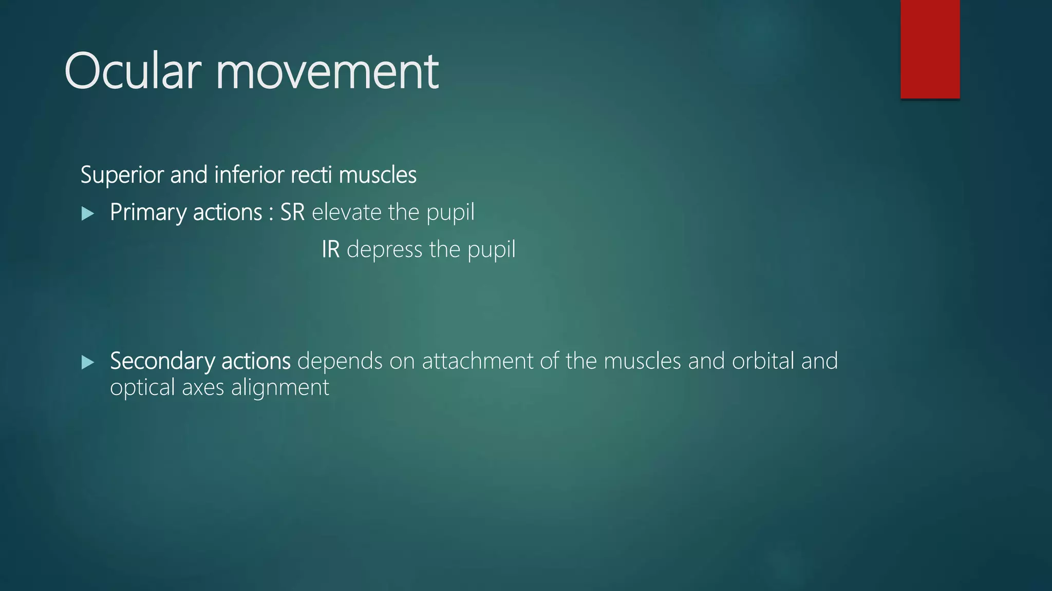 Extraocular muscles | PPTX | Eye and Vision Conditions | Diseases and ...