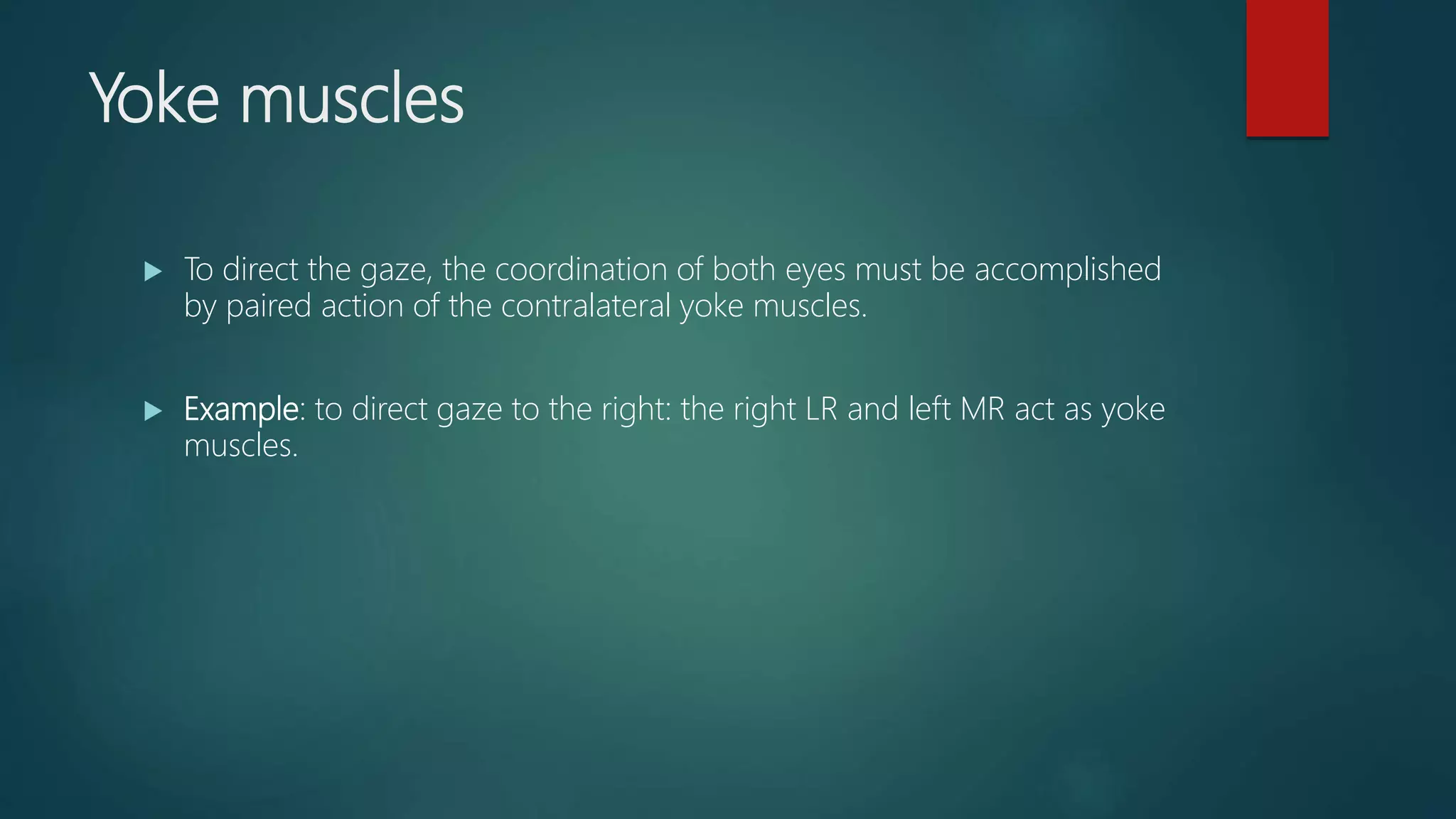 Extraocular muscles | PPTX | Eye and Vision Conditions | Diseases and ...