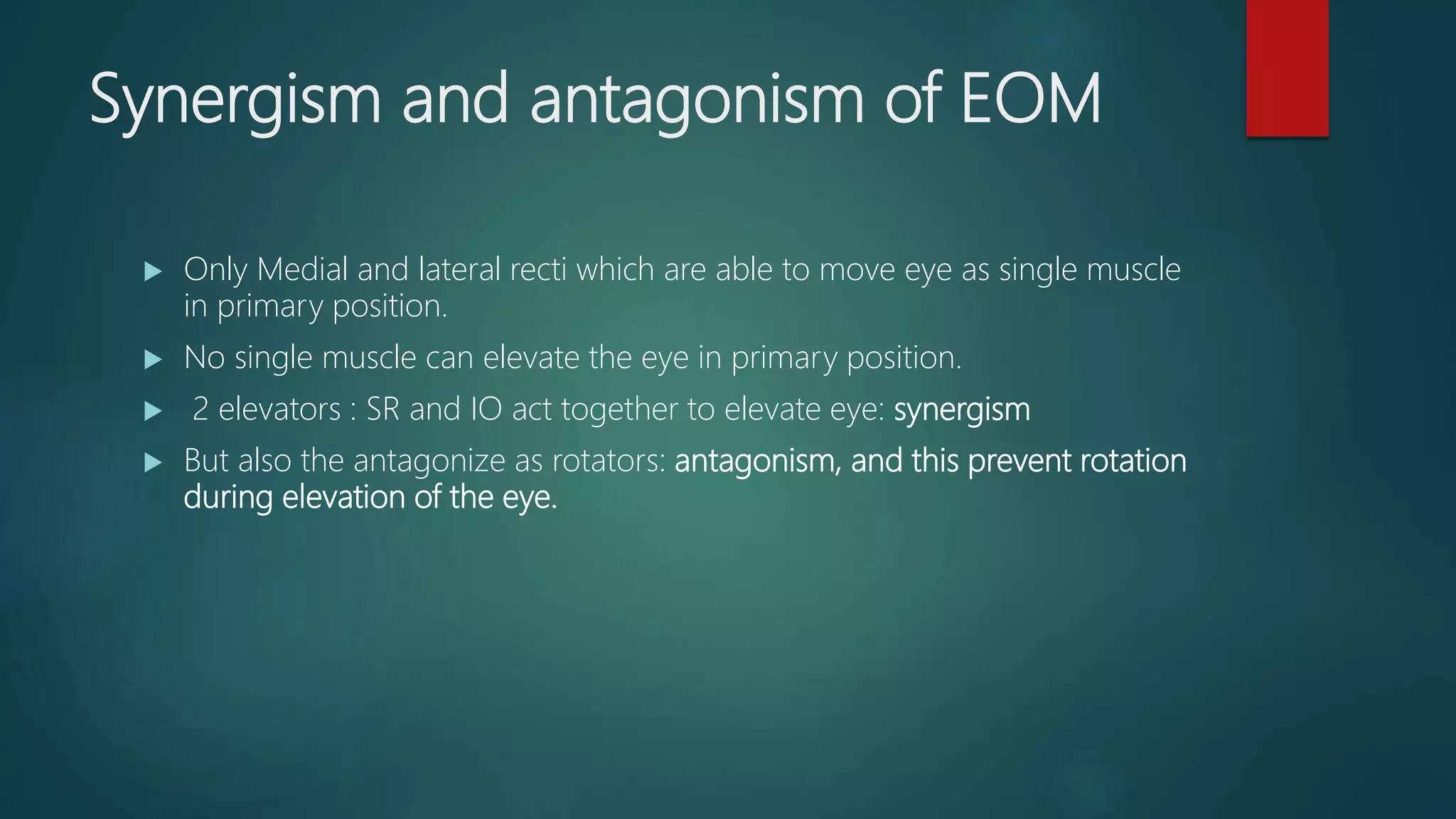 Extraocular muscles | PPTX | Eye and Vision Conditions | Diseases and ...