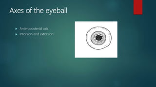 Extraocular muscles | PPTX