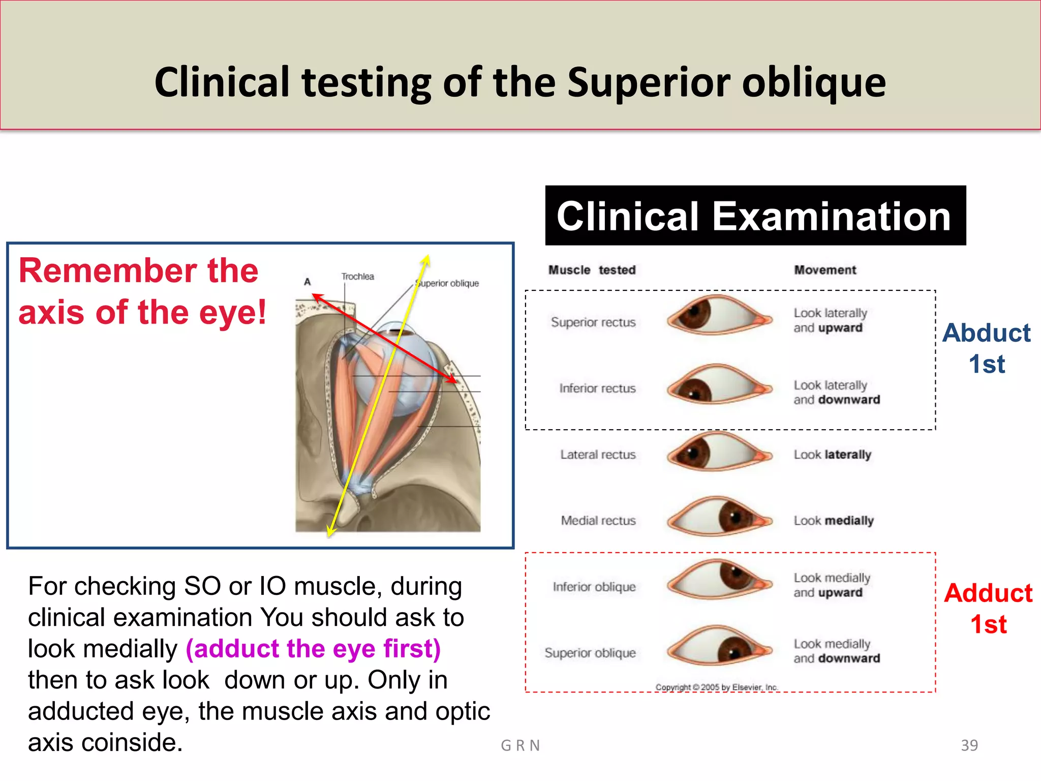 Extraocular muscles | PDF | Death, Injury, or Military Conflict ...