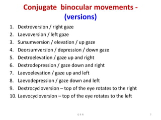 Extraocular muscles | PPT