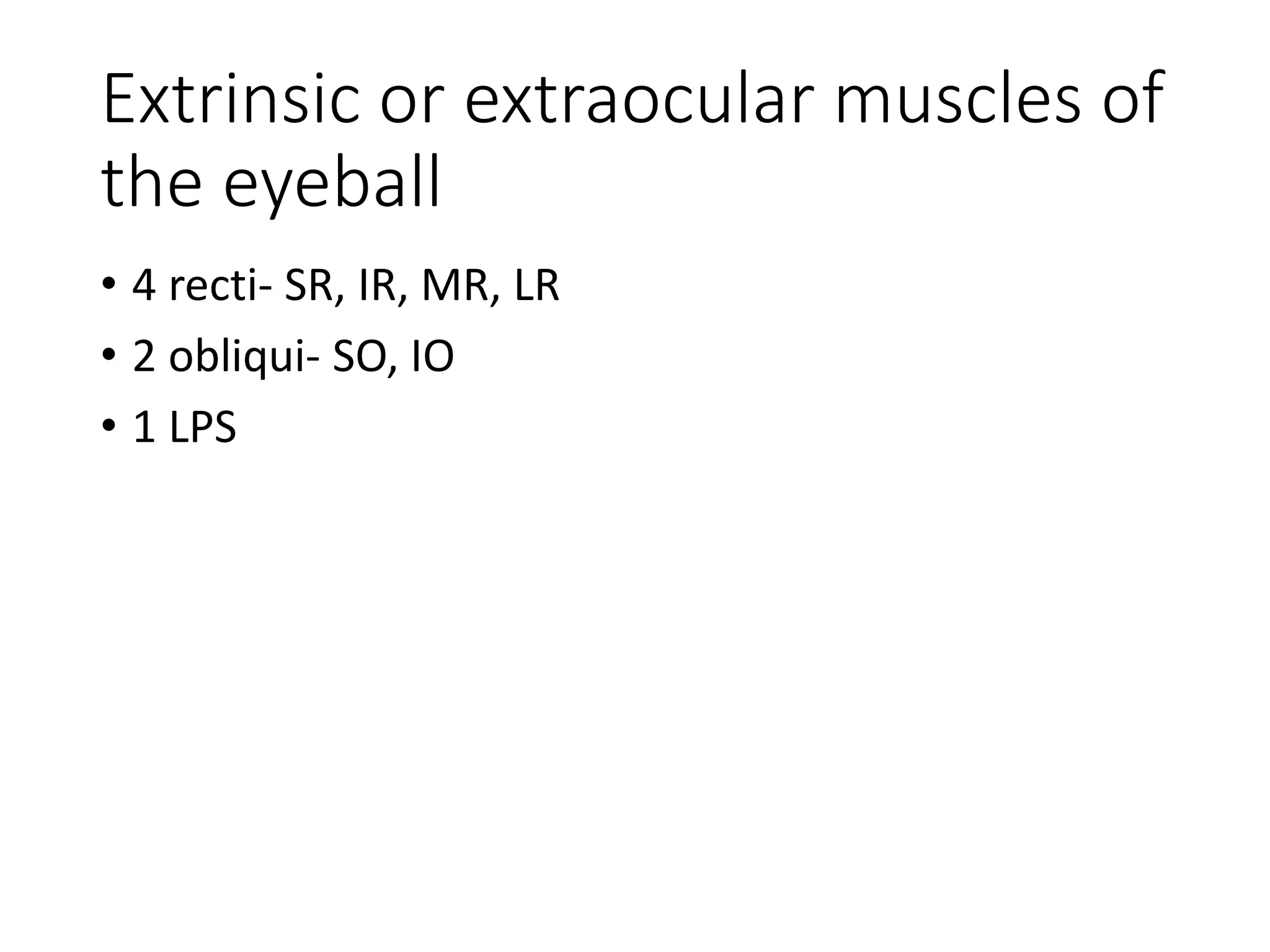 Extraocular muscles | PPTX