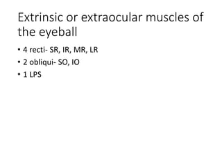 Extraocular muscles | PPTX