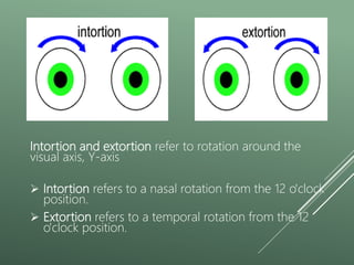 Extraocular muscles.pptx