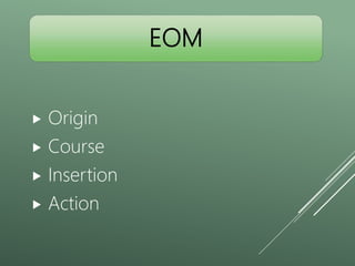 Extraocular muscles.pptx