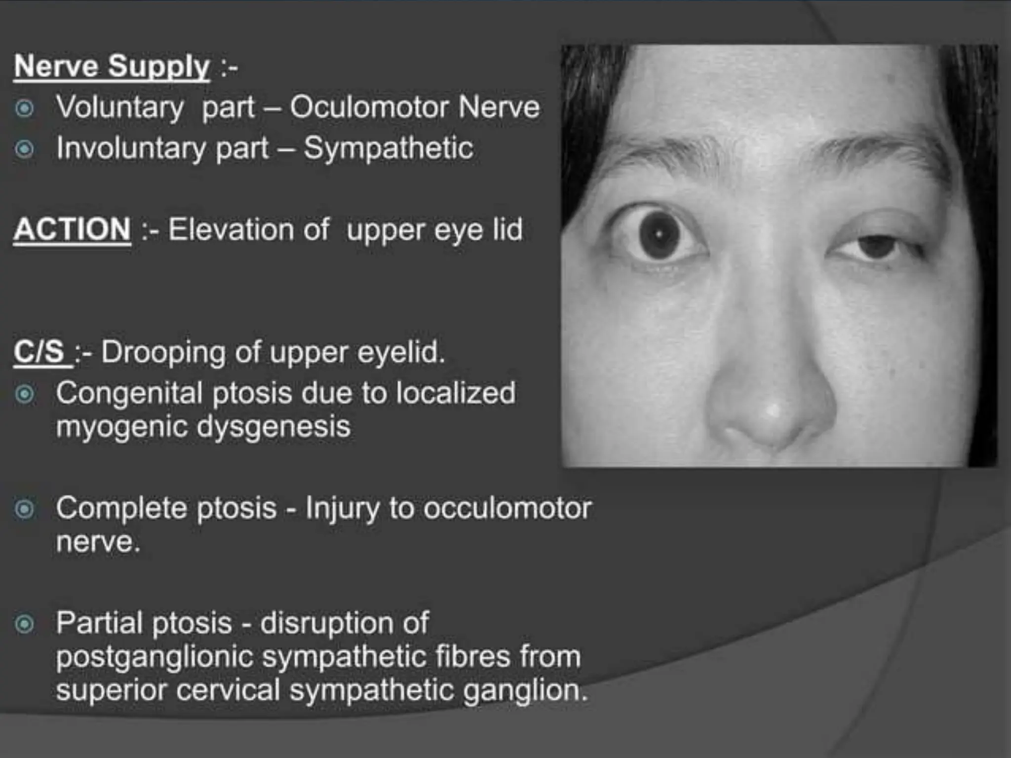extraocular muscles its function and action | PPT