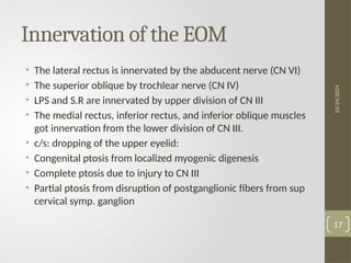 Extraocular muscles.pptx, they are seven muscles | PPT