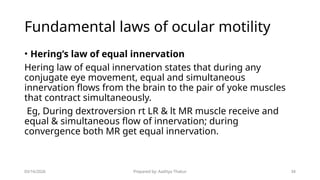 Comprehensive Overview of Extraocular Muscles and Ocular Motility | PPTX