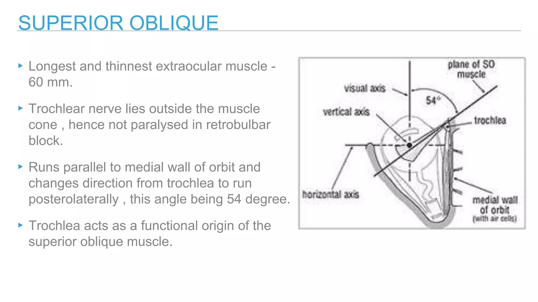 EXTRAOCULAR MUSCLES-APPLIED.pptx
