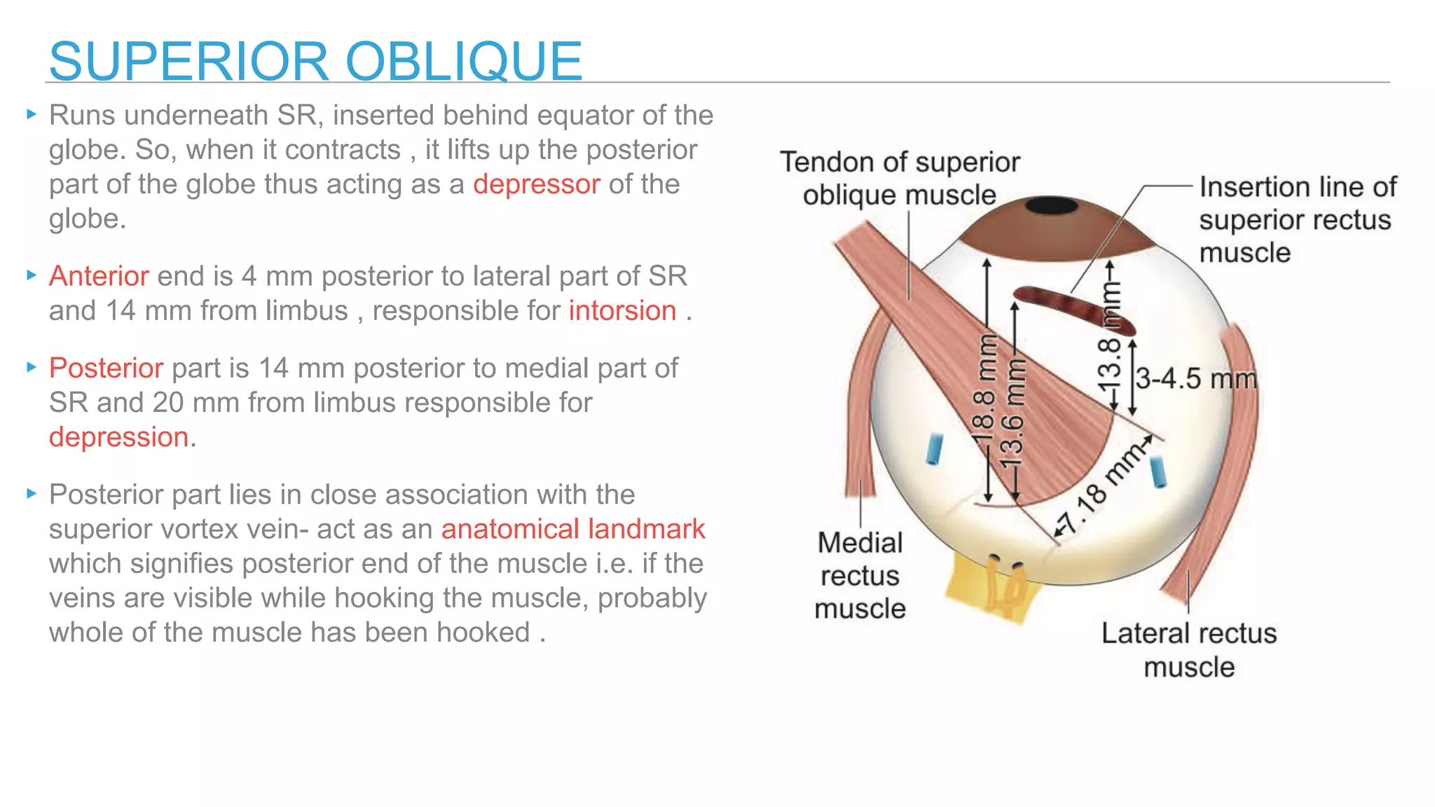 EXTRAOCULAR MUSCLES-APPLIED.pptx