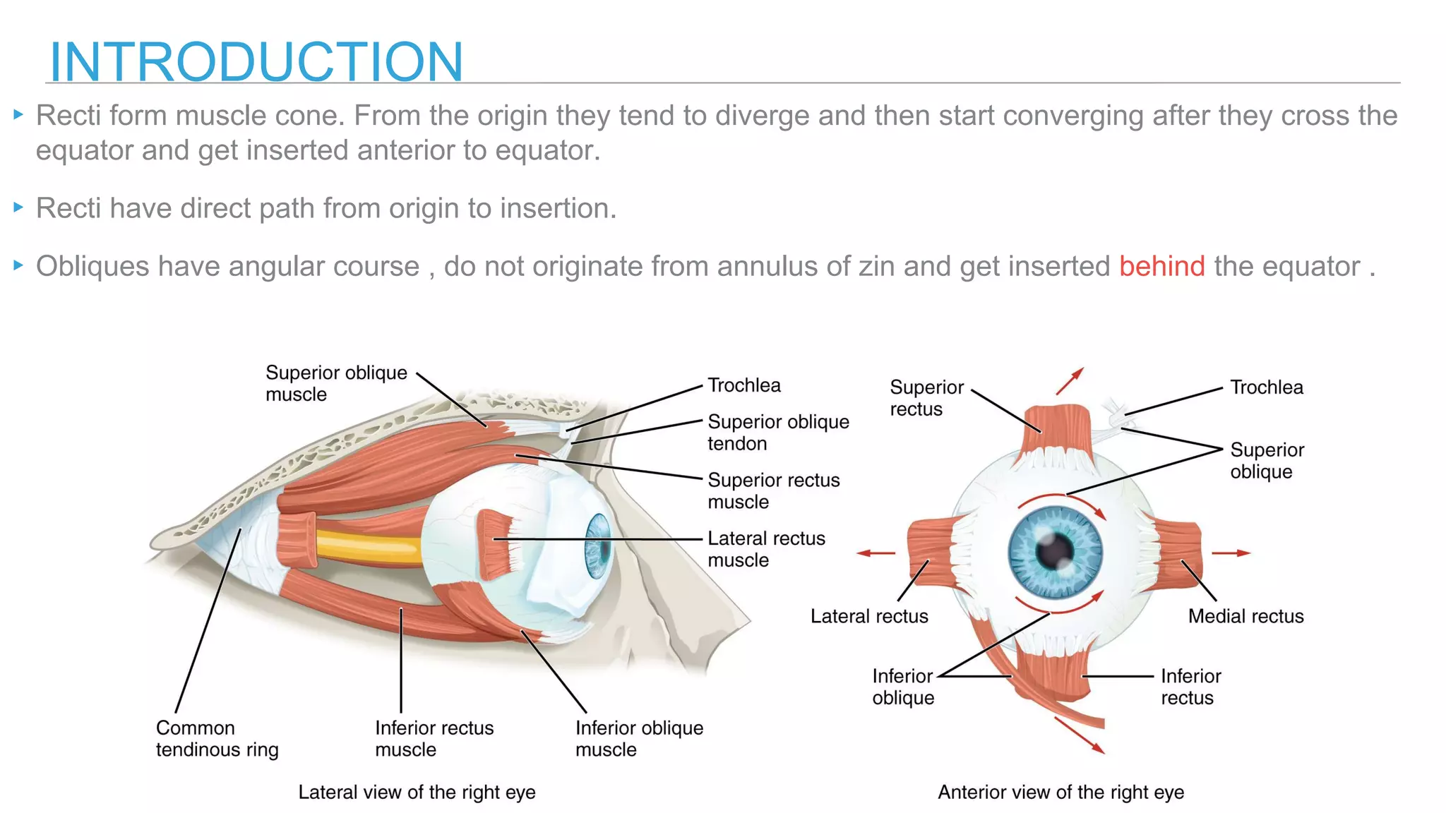 EXTRAOCULAR MUSCLES-APPLIED.pptx
