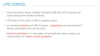 EXTRAOCULAR MUSCLES-APPLIED.pptx