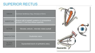 EXTRAOCULAR MUSCLES-APPLIED.pptx