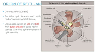 EXTRAOCULAR MUSCLES-APPLIED.pptx