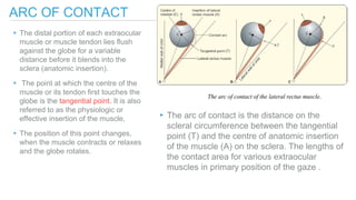 EXTRAOCULAR MUSCLES-APPLIED.pptx