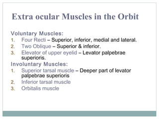 Extraocular muscles dr.gosai | PPT