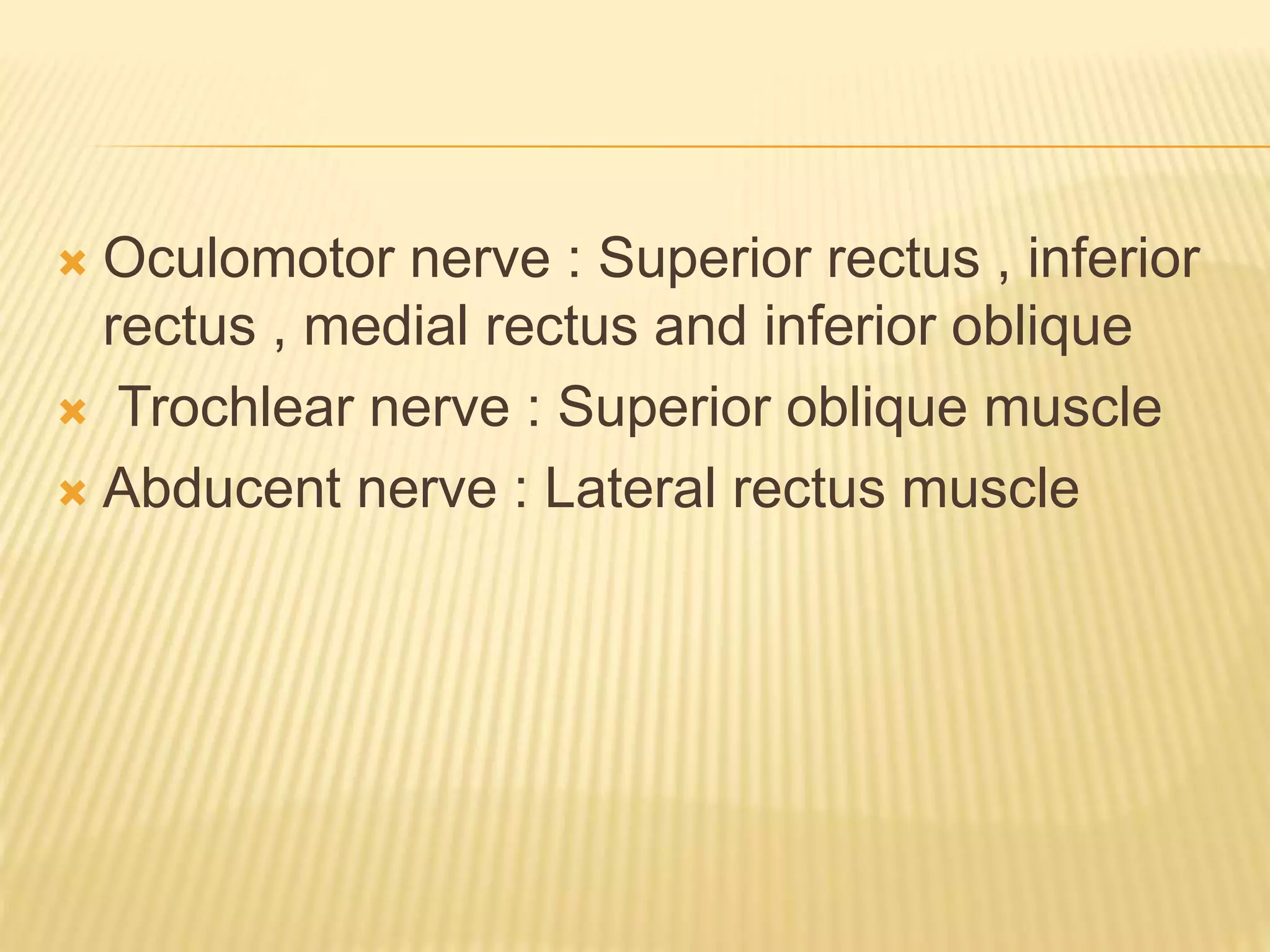 Extra ocular muscles anatomy | PPT