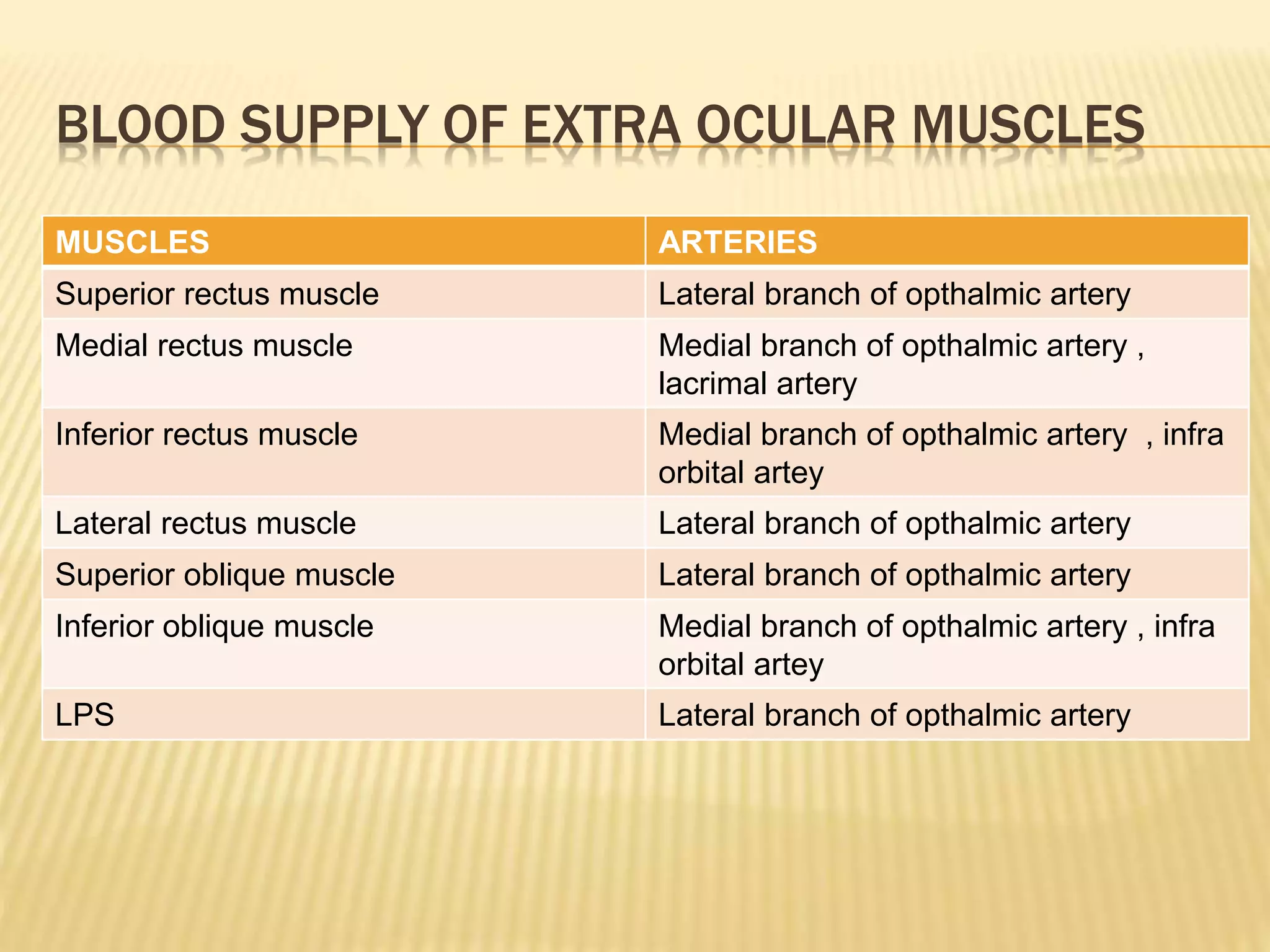 Extra ocular muscles anatomy | PPT