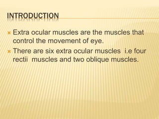 Extra ocular muscles anatomy | PPT