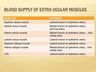 Extra ocular muscles anatomy | PPT