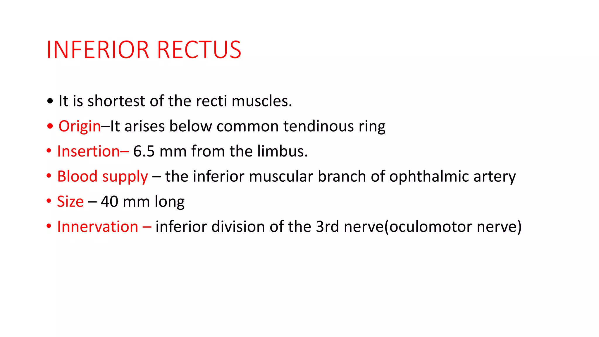 Extraocular muscles anatomy | PDF