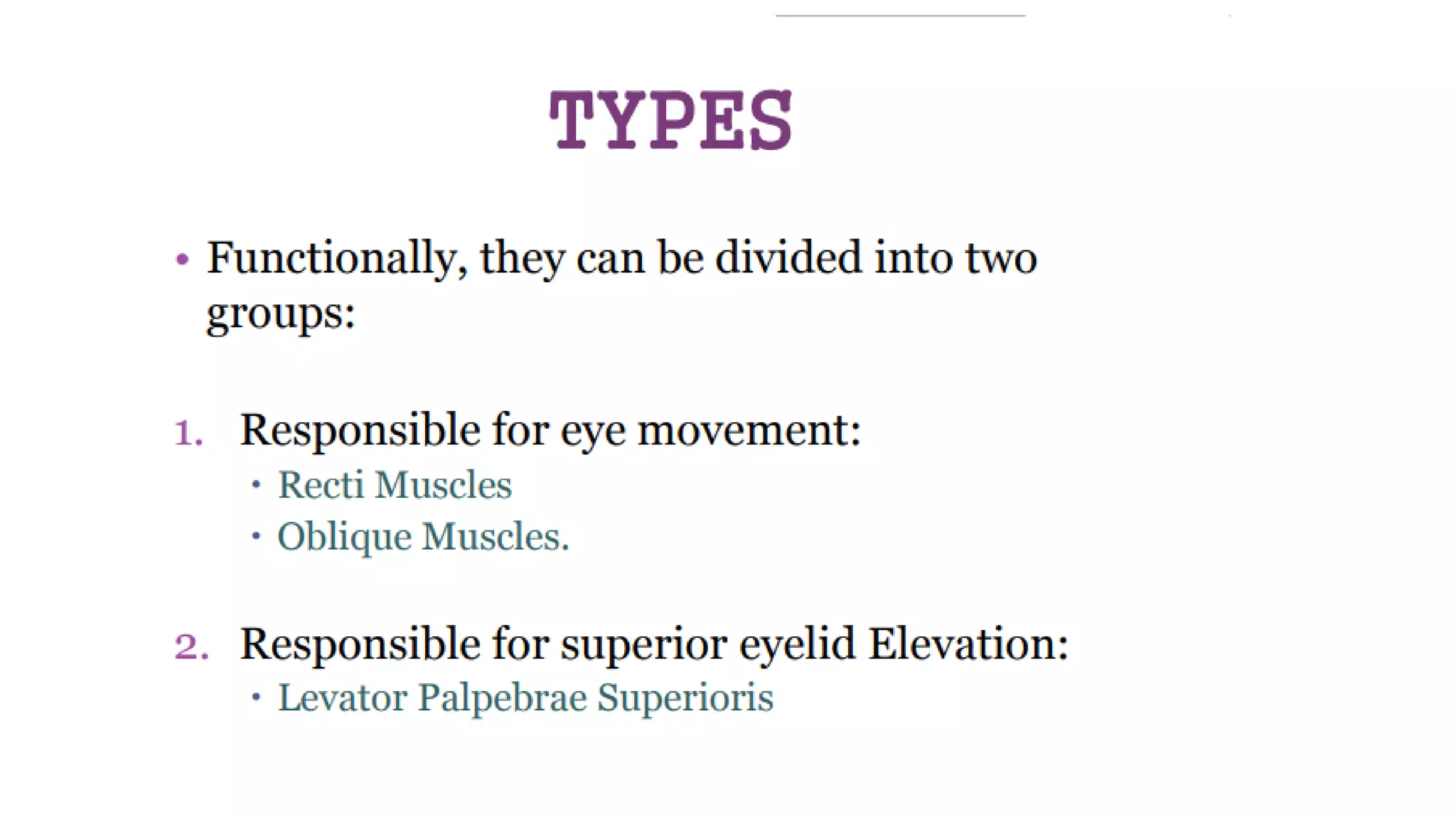 Extraocular muscles anatomy | PDF
