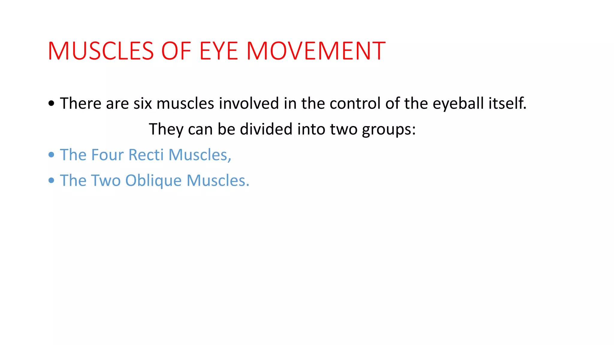 Extraocular muscles anatomy | PDF