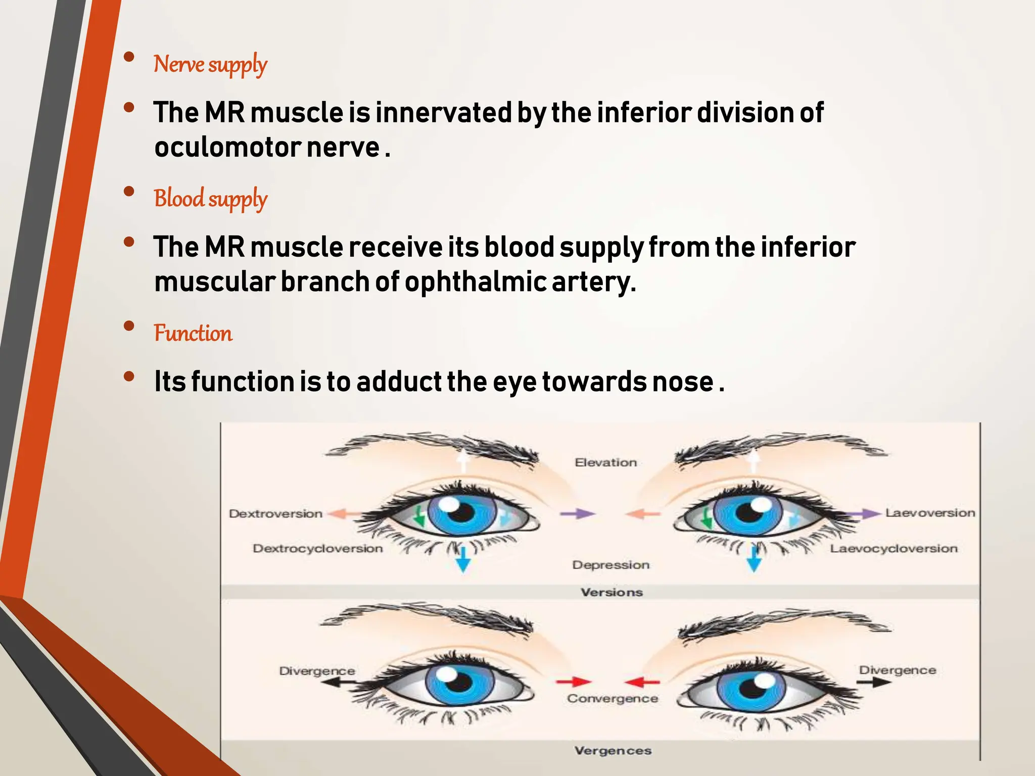 EXTRAOCULAR MUSCLES.pptx