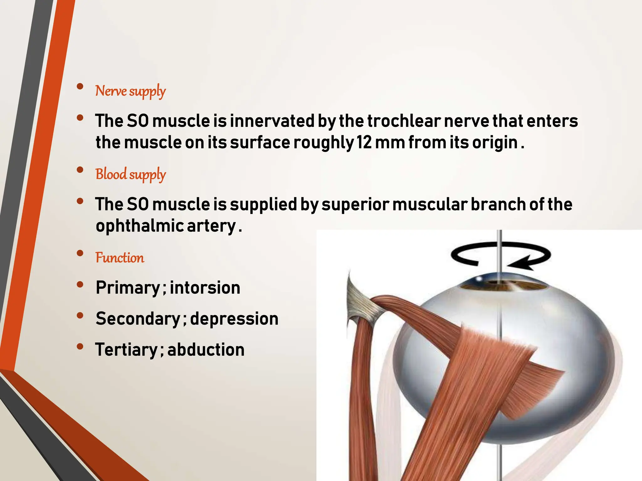 EXTRAOCULAR MUSCLES.pptx
