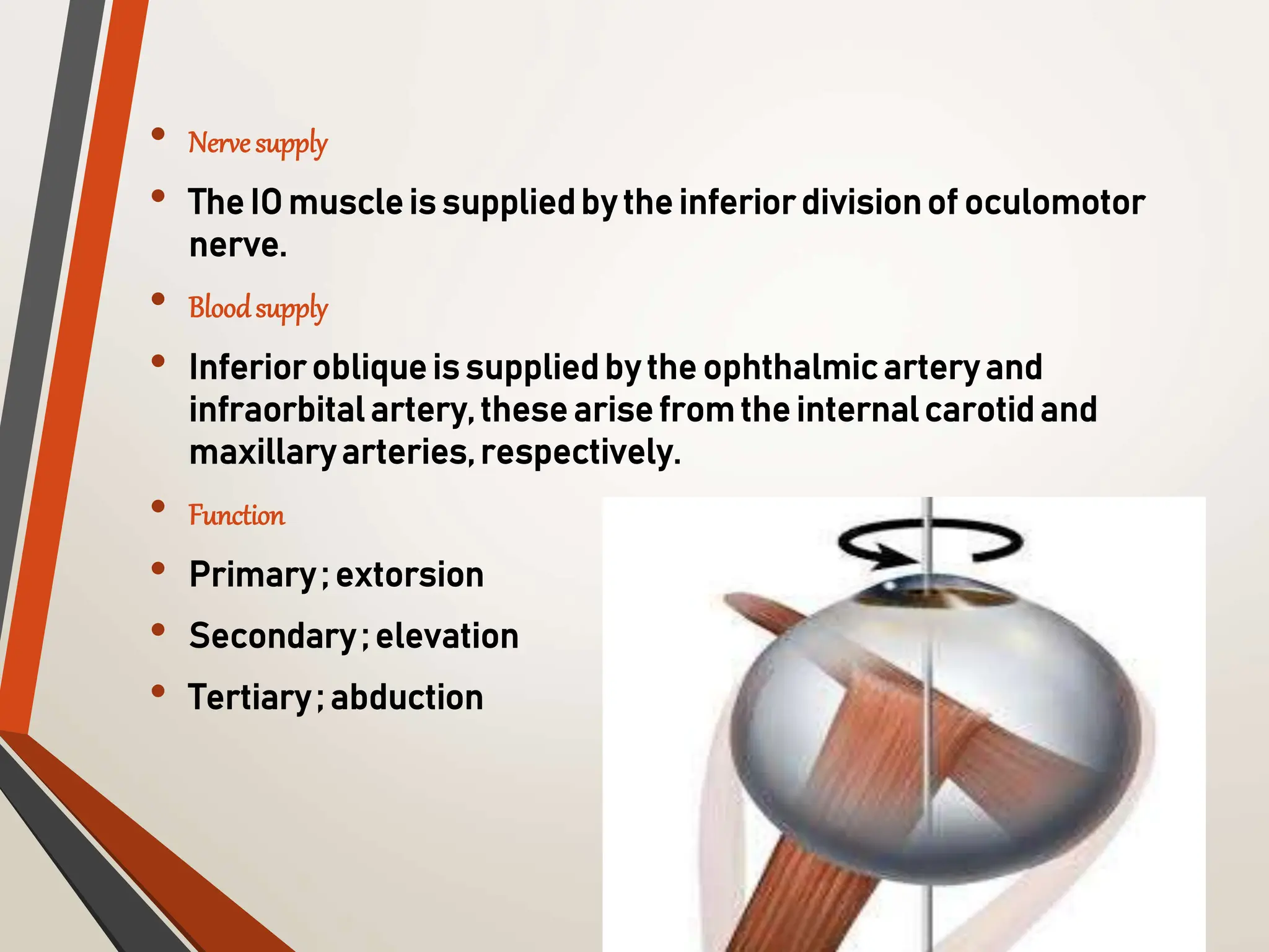EXTRAOCULAR MUSCLES.pptx