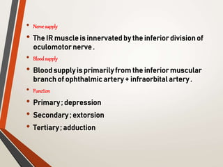EXTRAOCULAR MUSCLES.pptx