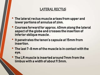 EXTRAOCULAR MUSCLES.pptx