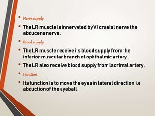 EXTRAOCULAR MUSCLES.pptx