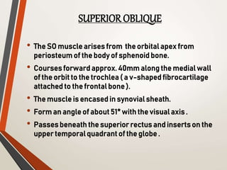 EXTRAOCULAR MUSCLES.pptx