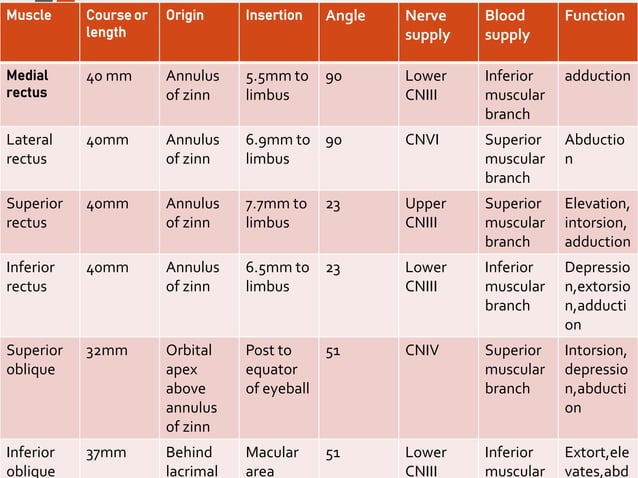 EXTRAOCULAR MUSCLES.pptx