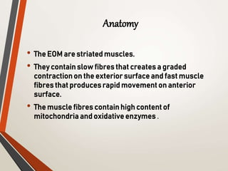 EXTRAOCULAR MUSCLES.pptx