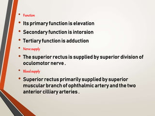EXTRAOCULAR MUSCLES.pptx