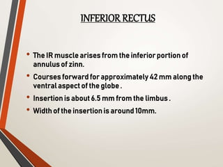 EXTRAOCULAR MUSCLES.pptx