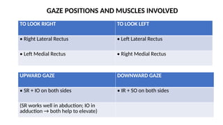 EXTRAOCULAR MUSCLES & GAZE MOVEMENTS.pptx