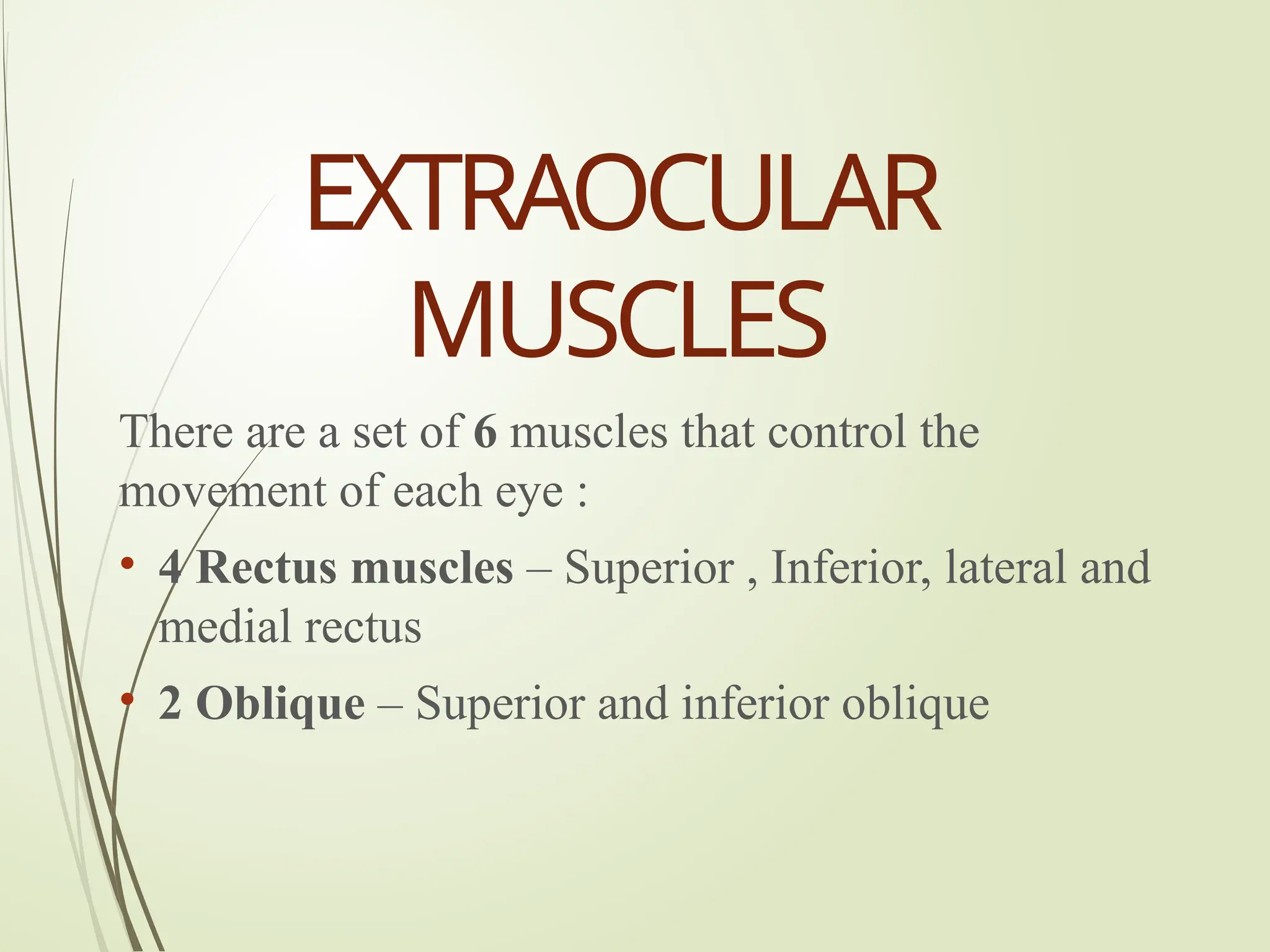 extraocular muscles anatomy presentation | PPT