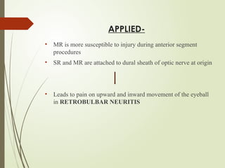 extraocular muscles anatomy presentation | PPTX