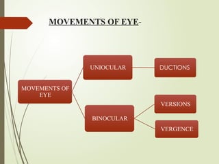extraocular muscles anatomy presentation | PPTX