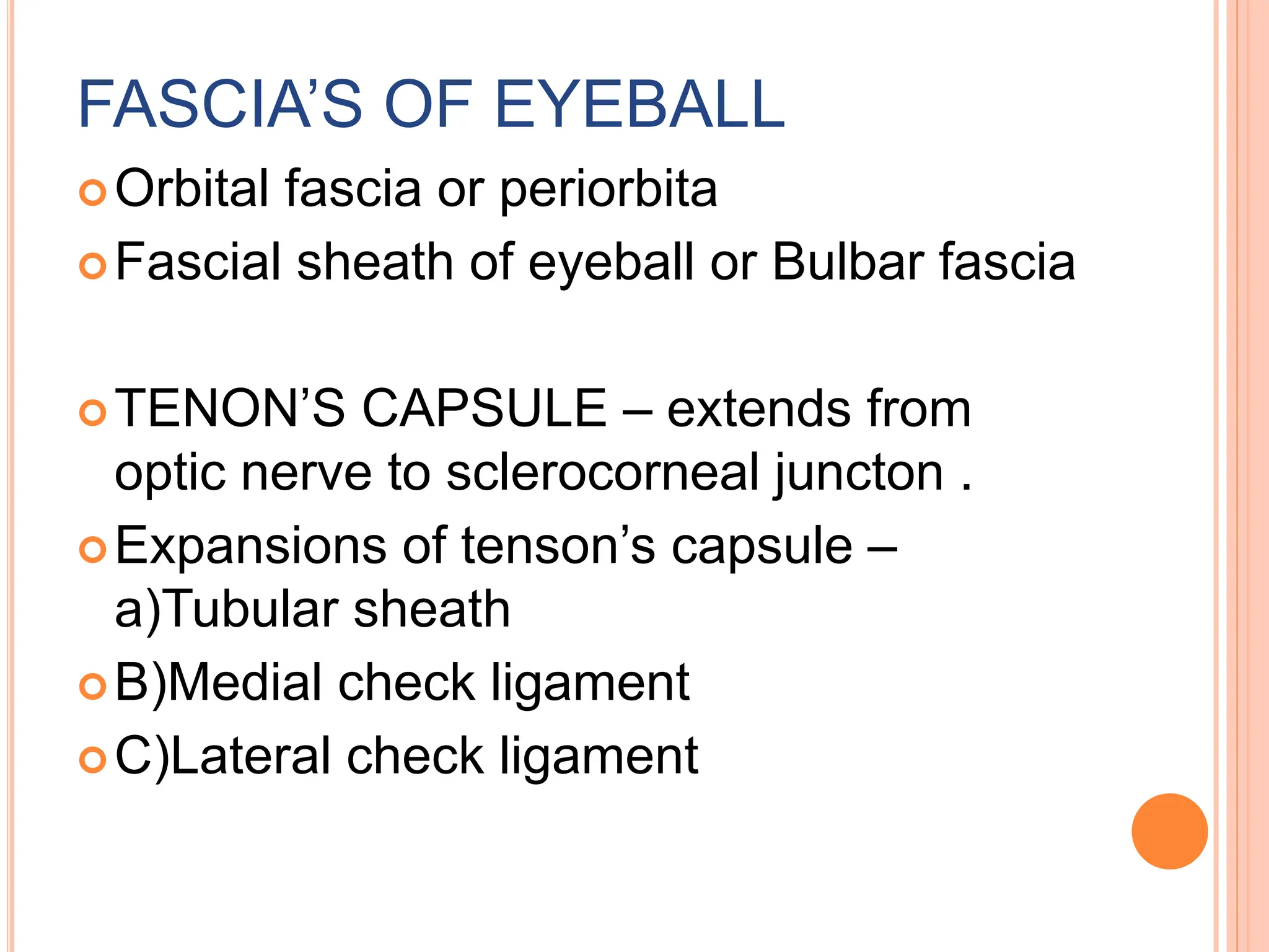 Extraocular Muscles and its course in the eye | PPTX