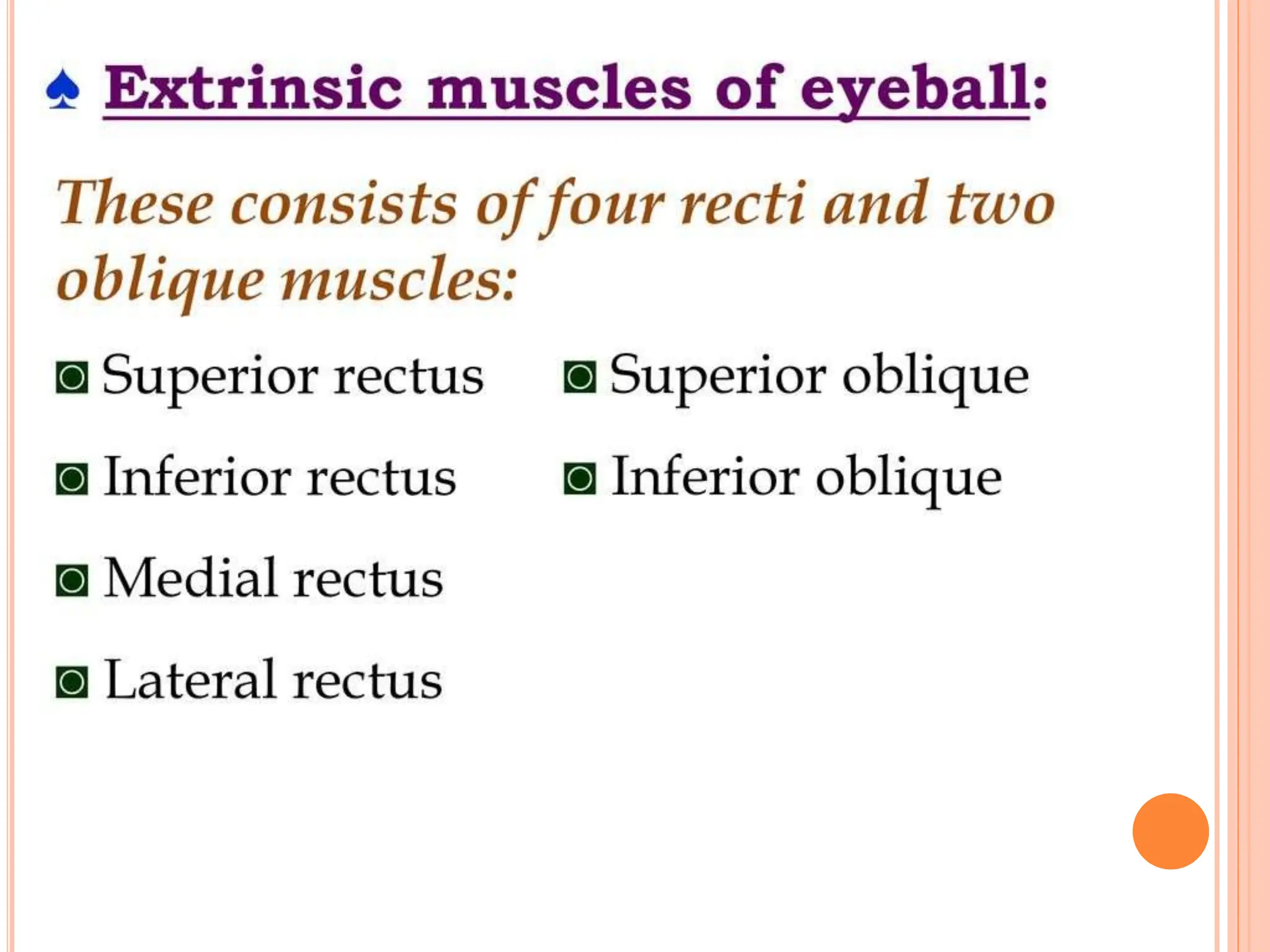 Extraocular Muscles and its course in the eye | PPT | Free Download